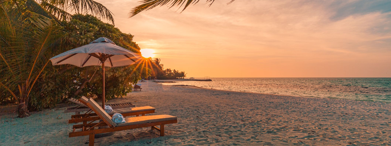 Summer – Kimmy B. Creative